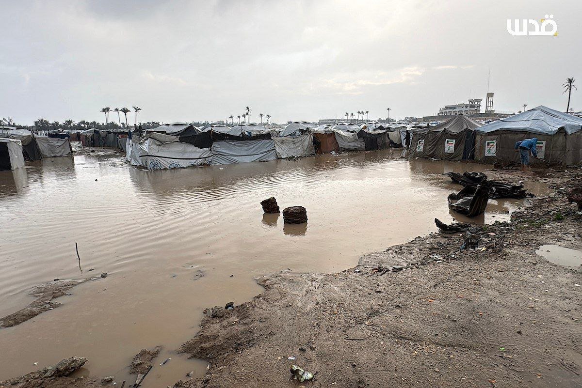 Gaza Under Manufactured Indifference: A Humanitarian Nightmare by ...